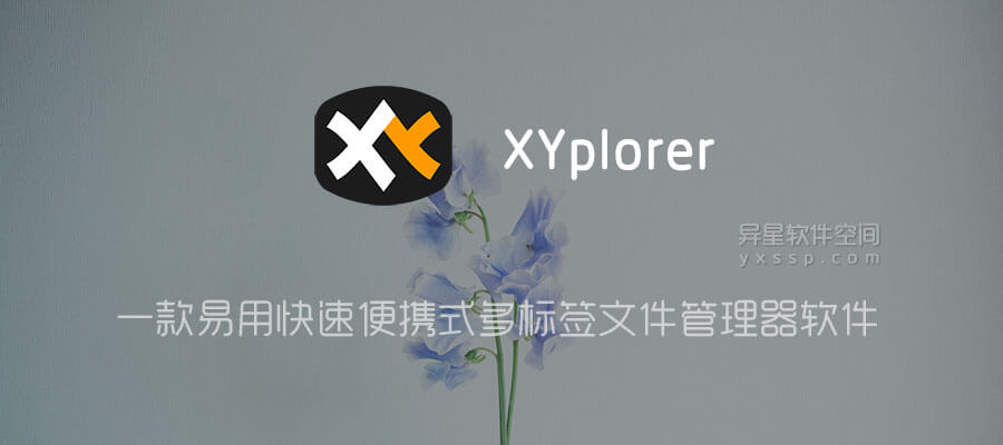XYplorer「多标签文件管理器」v23.80 for Windows 中文绿色便携专业版 —— 一款快速便携式多标签文件管理器 | 异星软件空间